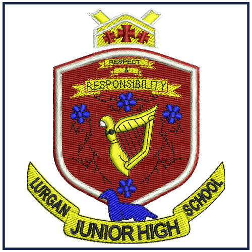 Lurgan Junior High – Donaghys Direct